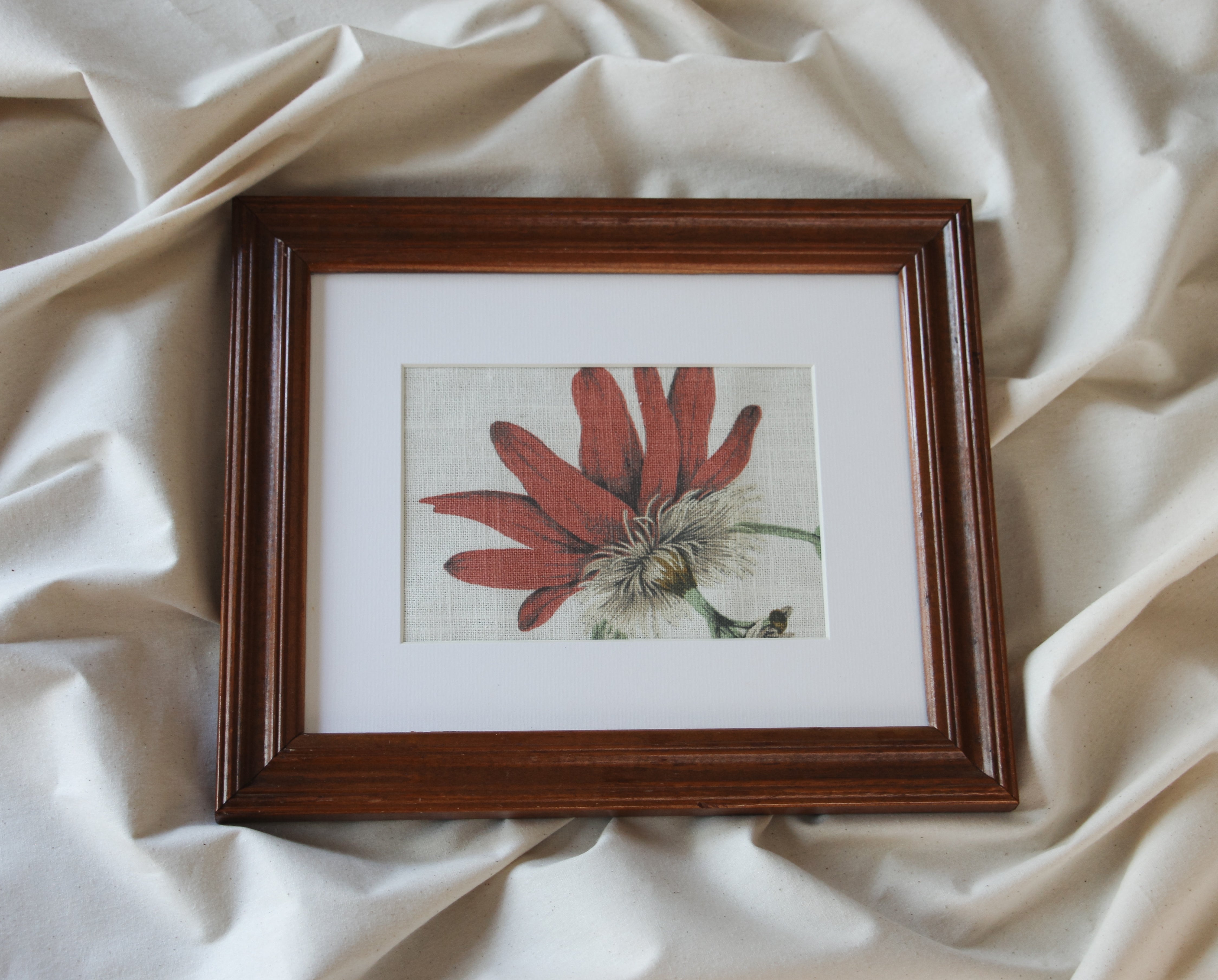 Crimson Grace Frame – Zieren